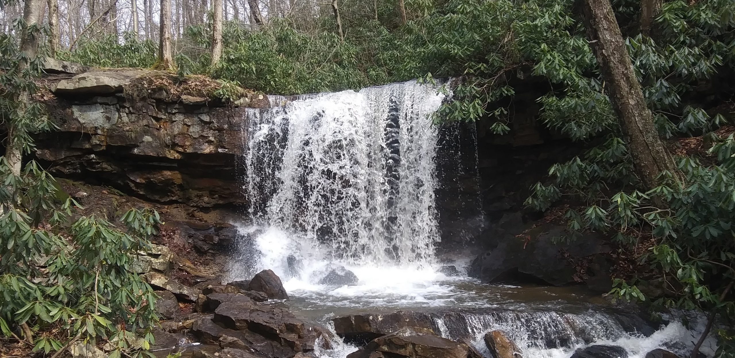 Blog - Matthew Leverknight